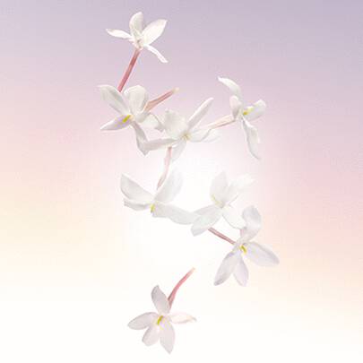 Idôle Eau de Parfum- Women's Perfume - Lancôme