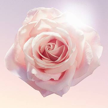 Idôle Eau de Parfum- Women's Perfume - Lancôme