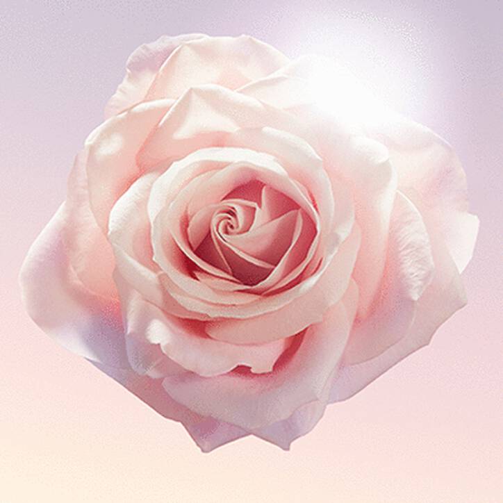 Idôle Eau de Parfum- Women's Perfume - Lancôme