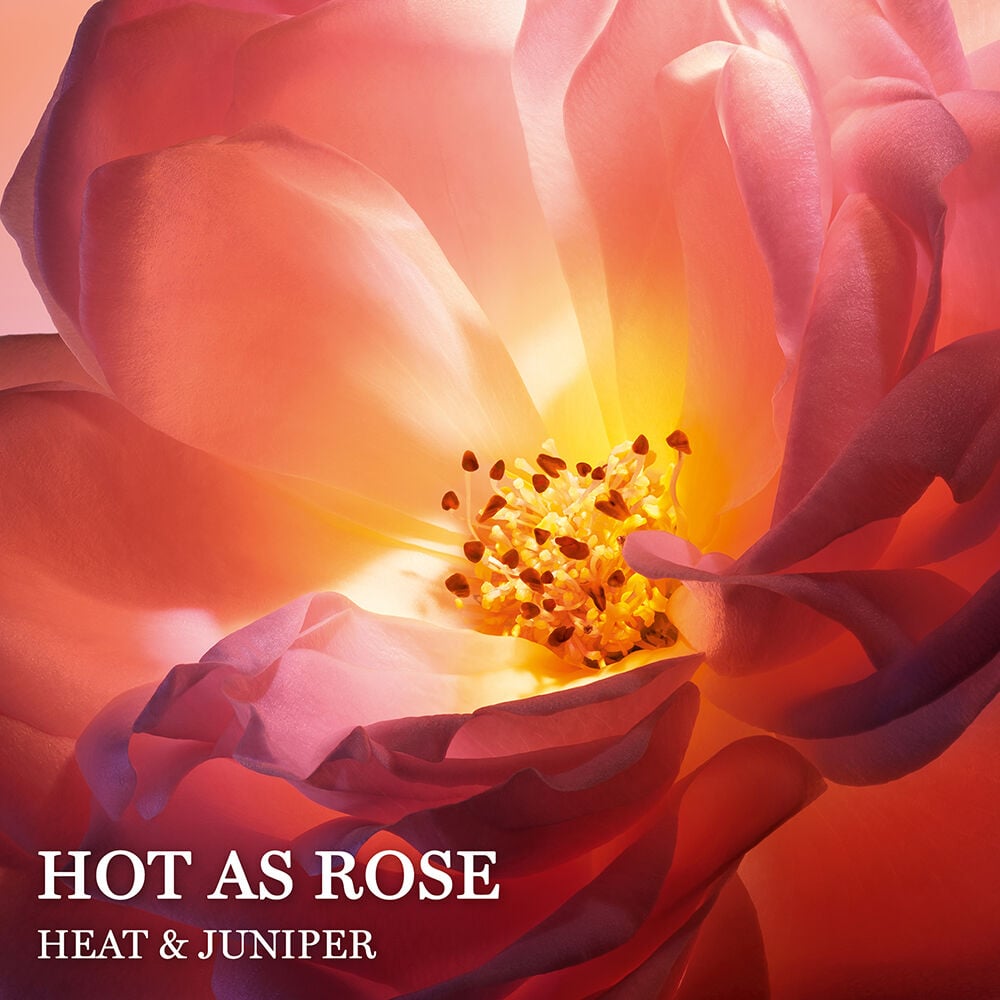 Hot As Rose Eau de Parfum - Absolue Les Parfums - Lancôme