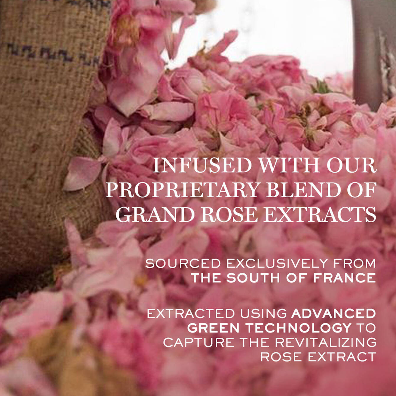 Lancôme Ingredient Details, Information and Product - Lancôme