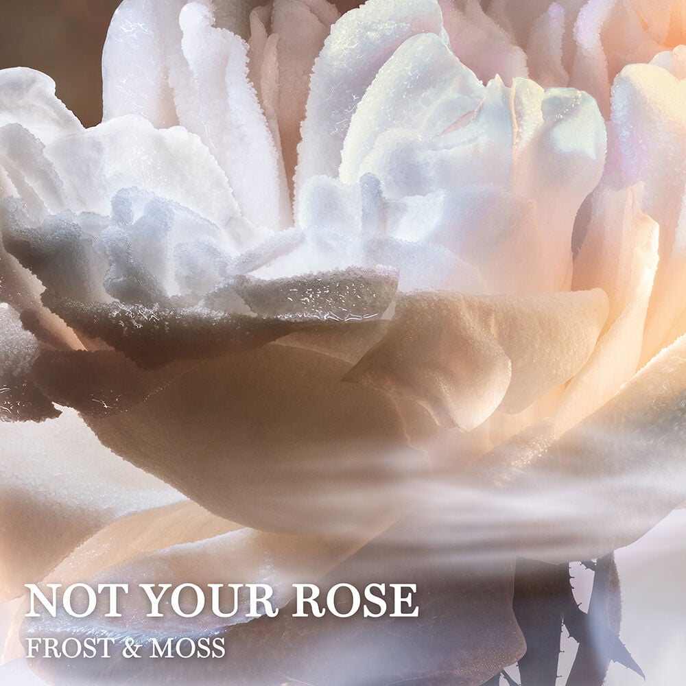 Not Your Rose Eau de Parfum - Absolue Les Parfums - Lancôme